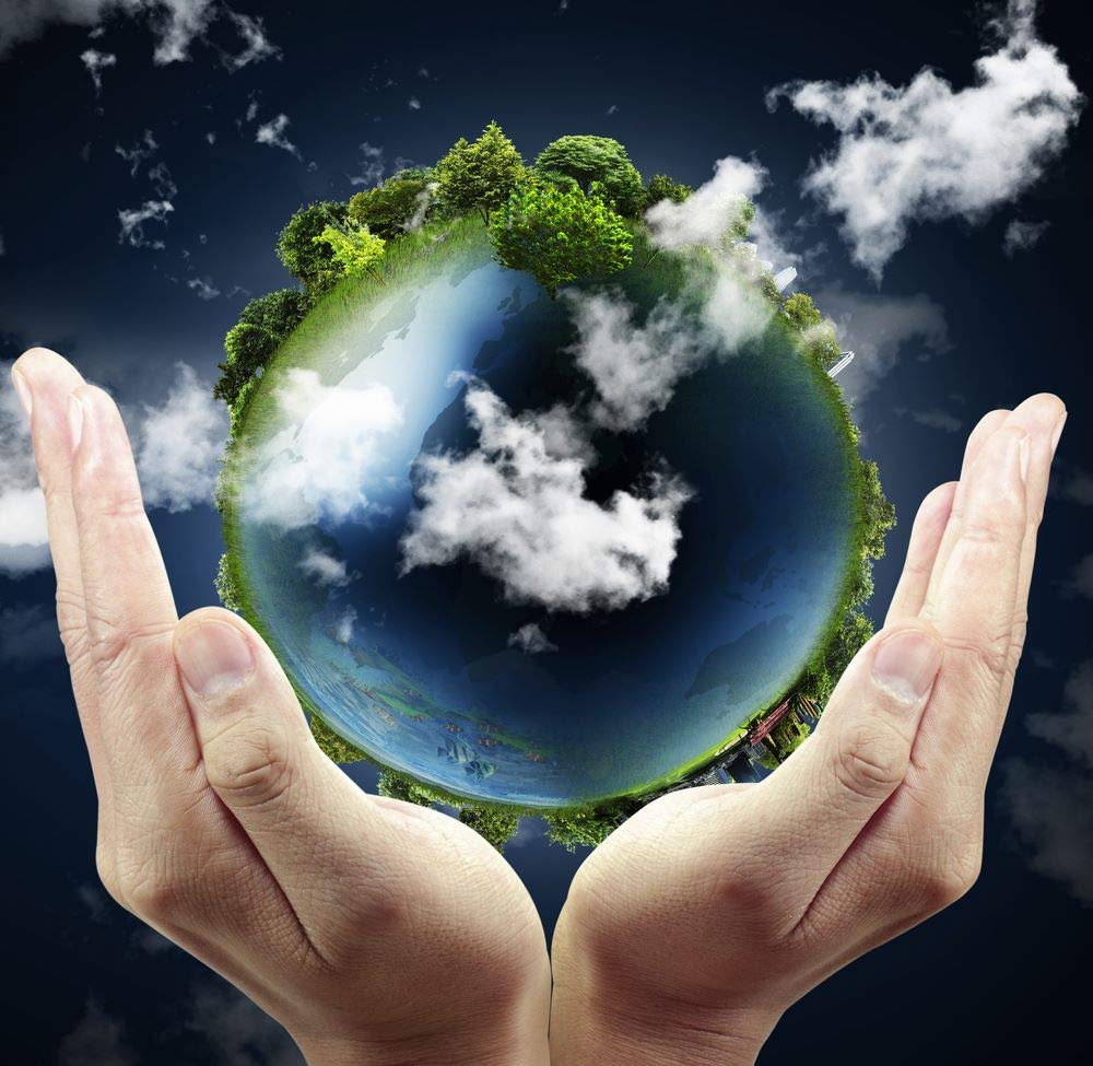 Save Earth Hand Logo