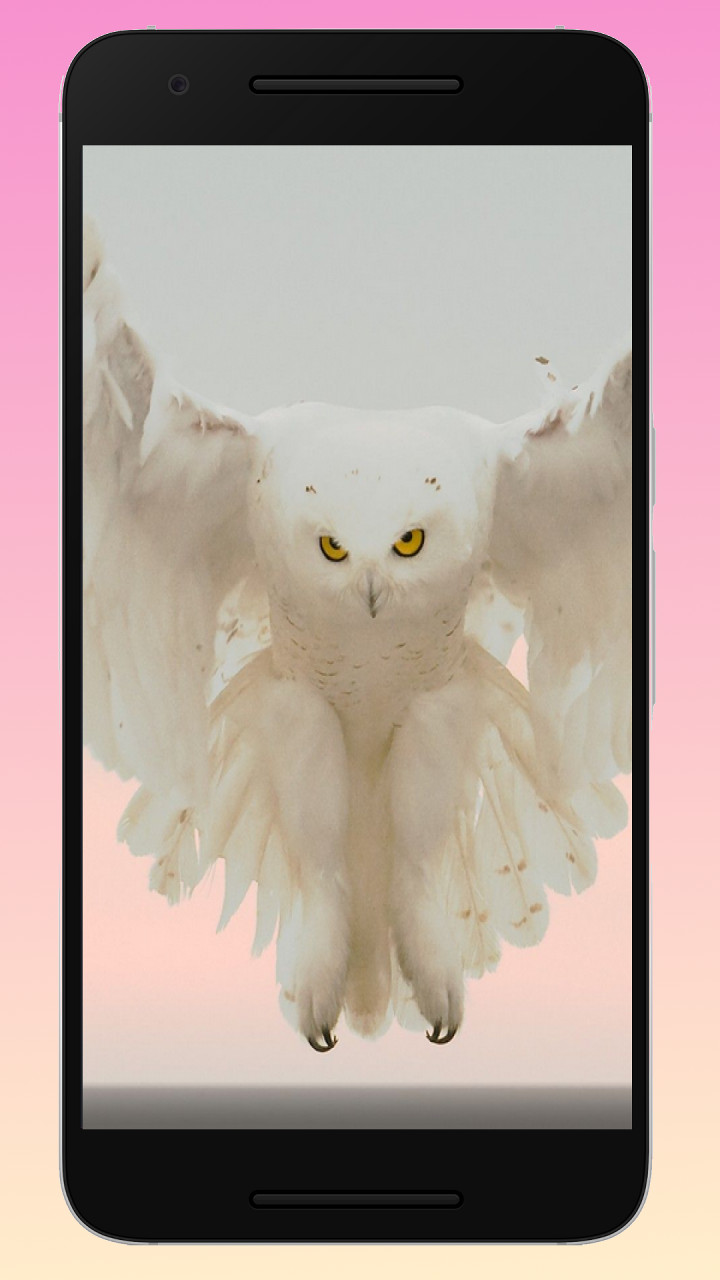 Cute animal wallpapers - App on Amazon Appstore