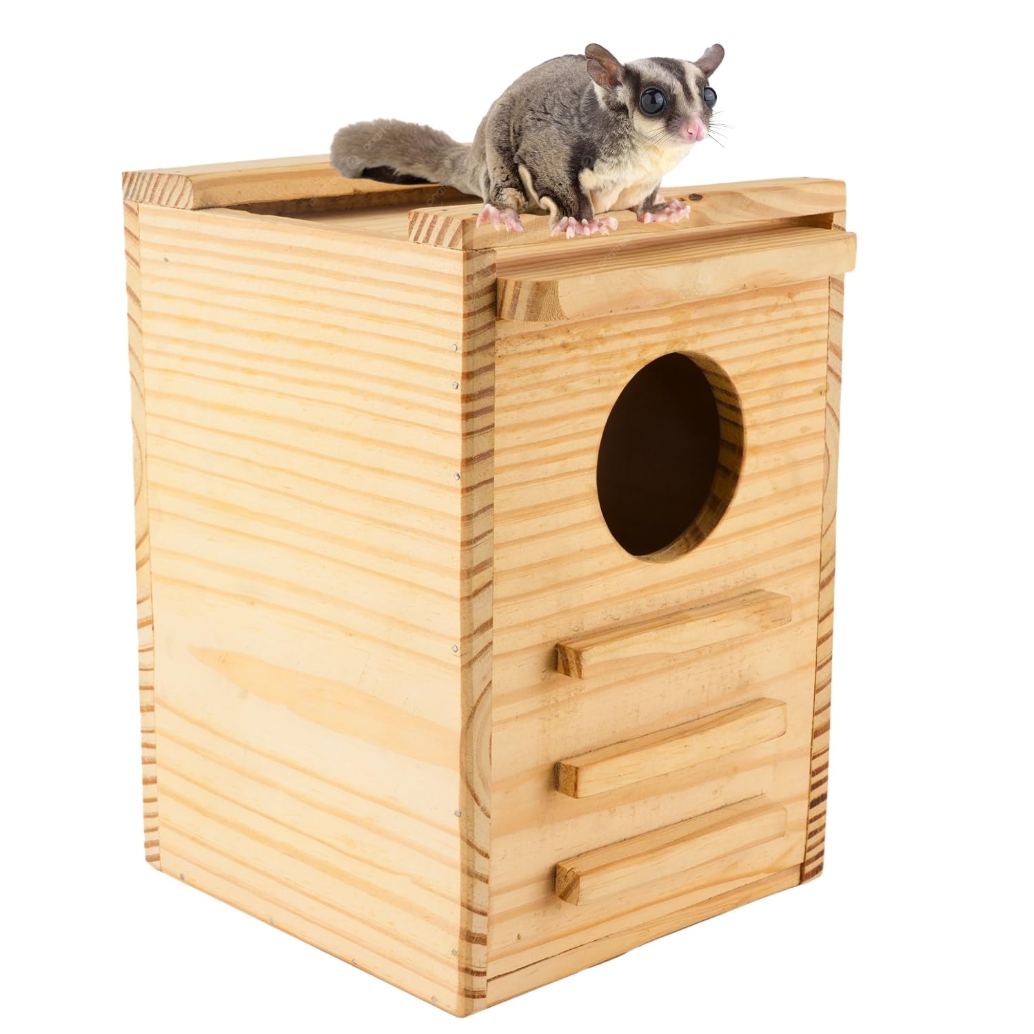 Sugar Glider Cage Wood NEOUZA Sugar Glider Natural Eucalyptus Molar