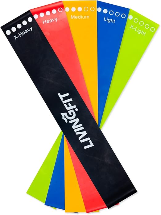 Amazon.com: Living.Fit Resistance Loop Exercise Bands, Set of 5 Level ...