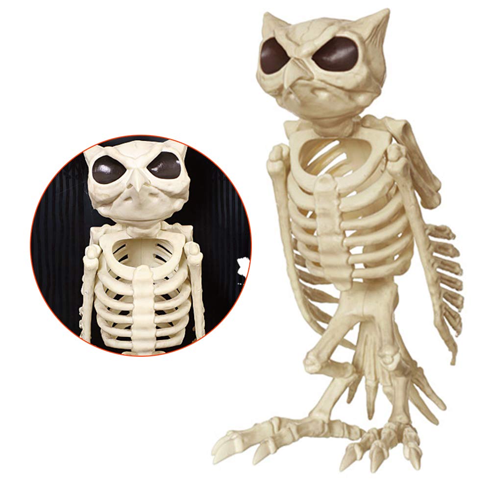 Owl Skeleton Illustration