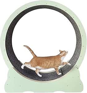 Quiet Noiseless Exerciser for Indoor Cats, Cat Treadmill Ferris Wheel ...