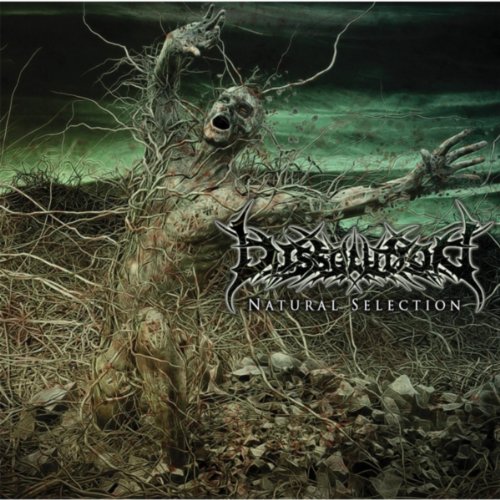 Amazon.com: Natural Selection : Dissolution: Digital Music