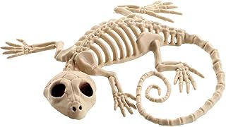 Do Geckos Have Bones? Exploring The Skeletal Structure Of Geckos | PetShun