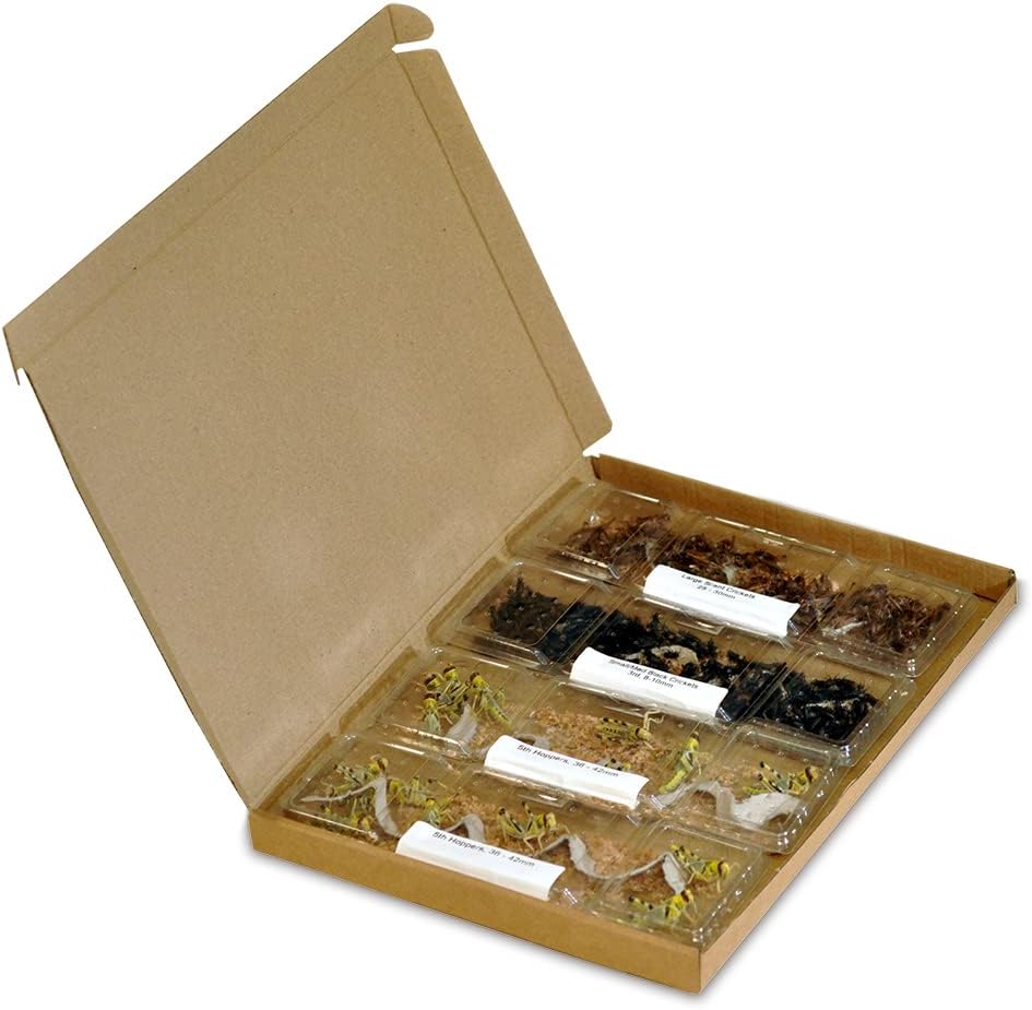 Monkfield Nutrition - House Brown Crickets - 6-8mm – Letterbox Friendly ...