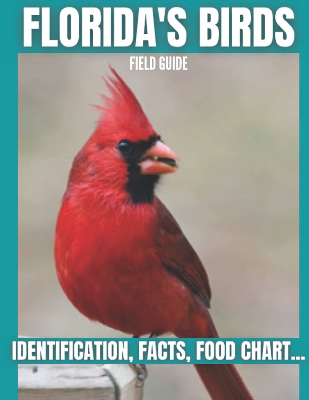 Buy Florida s Birds Field Guide Identification Facts Food Chart buy-florida-s-birds-field-guide-identification-facts-food-chart