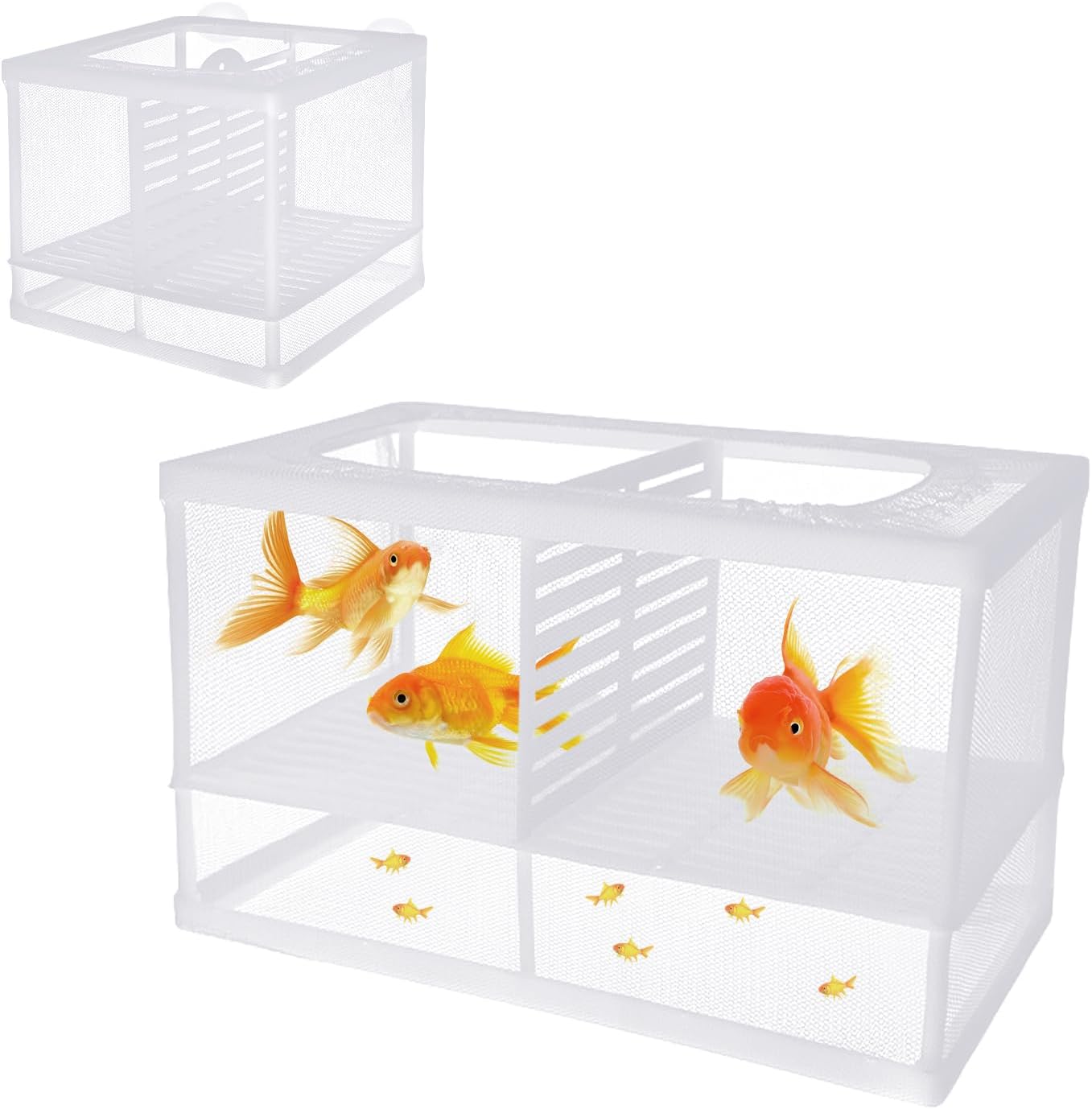 Amazon.com : Generic Fish Breeder Box Fish Aquarium Isolation Box Fish ...
