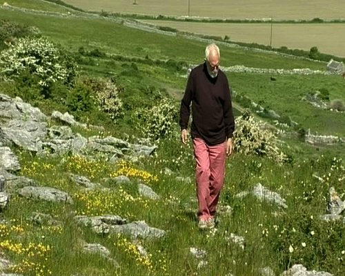 Amazon.com: John ffrench ‘A life in colour’ : Movies & TV