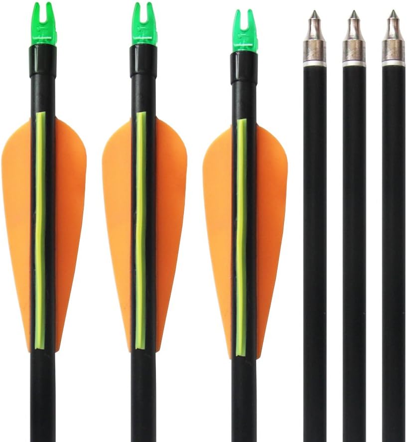e5e10 31" Fiberglass Hunting Arrows with Replaceable Screw-in Point and ...