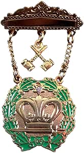 Amazon.com: Amaranth Past Royal Matron 1 Stone & Gavels Jewel Freemason ...