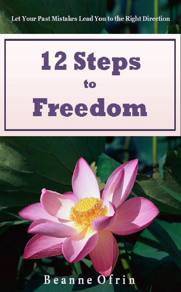 12 Steps to Freedom: Let Your Past Mistakes Lead You to the Right ...