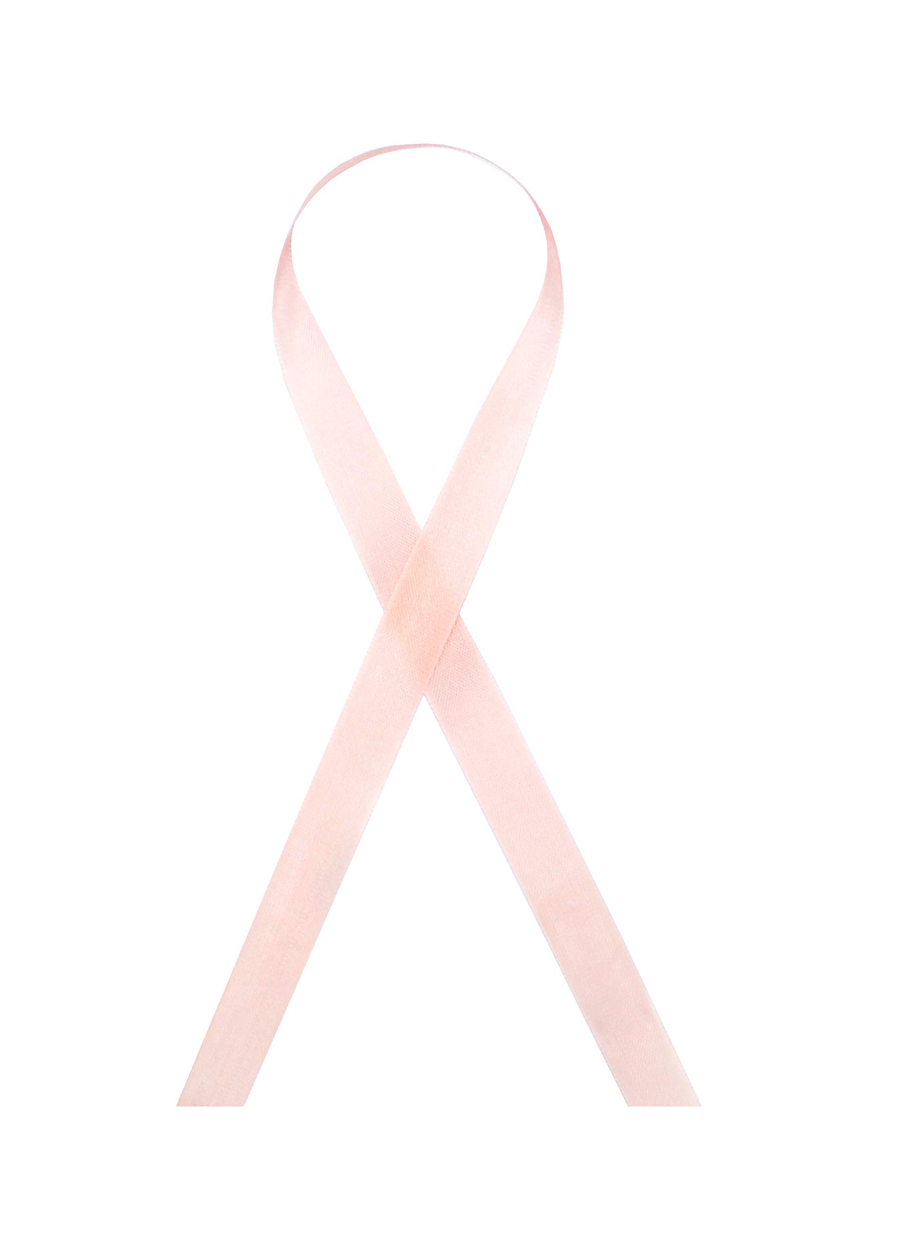 Amazon.com: Seam Binding Rayon Ribbon 1/2-Inch x 100 Yards (162 - Flesh)