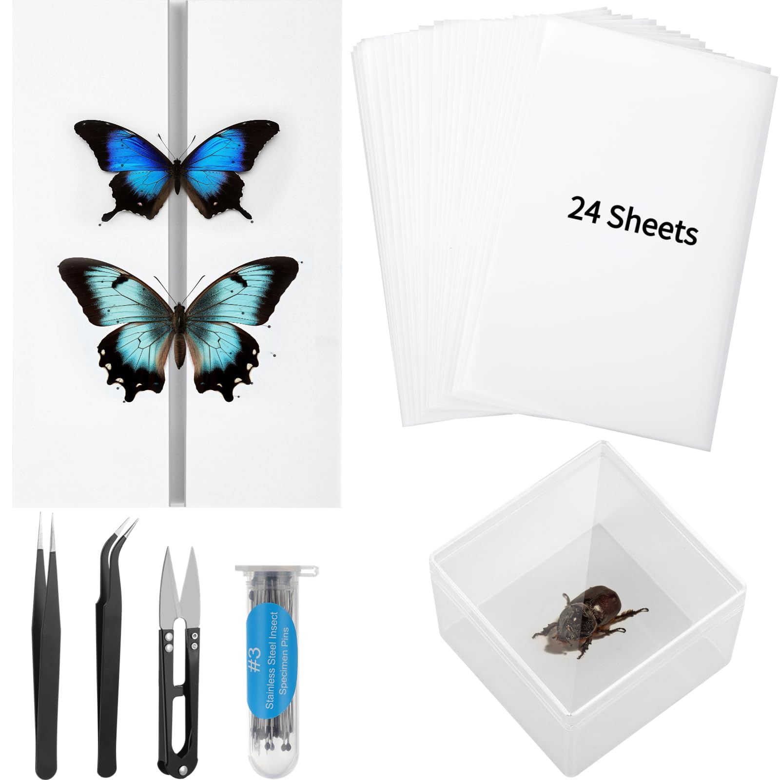 Snapklik.com : Insect Specimen Tools Kit, Butterfly Specimen Tools For ...