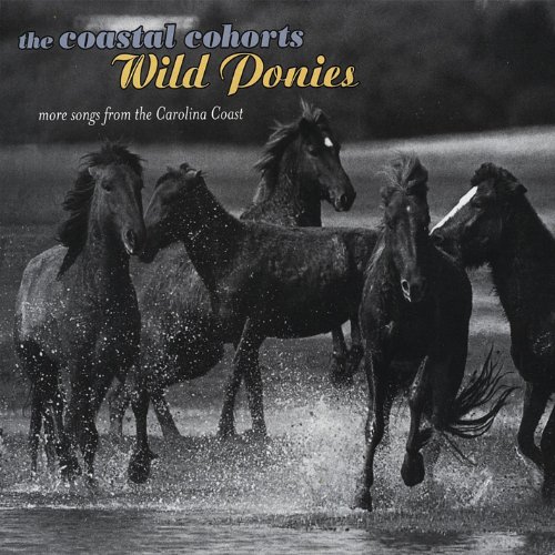 Amazon.com: Wild Ponies : The Coastal Cohorts: Digital Music