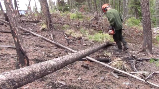 Watch How to set up and use this fantastic portable winch. on Amazon Live