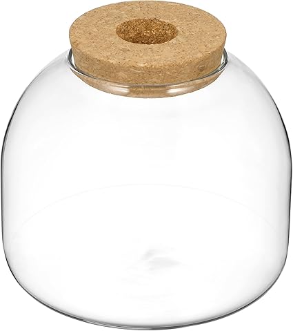 Amazon.com: Happyyami Glass Terrarium Jar with Wood Cork Hydroponic ...