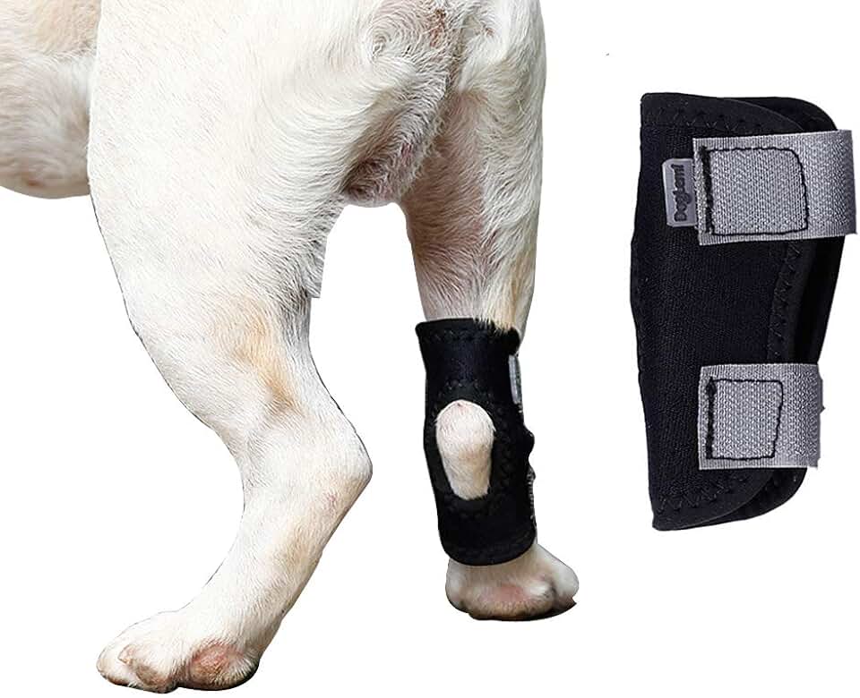 Amazon.co.uk: leg wraps