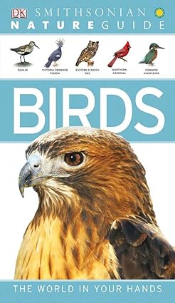 Nature Guide: Birds: The World in Your Hands: Burnie, David ...