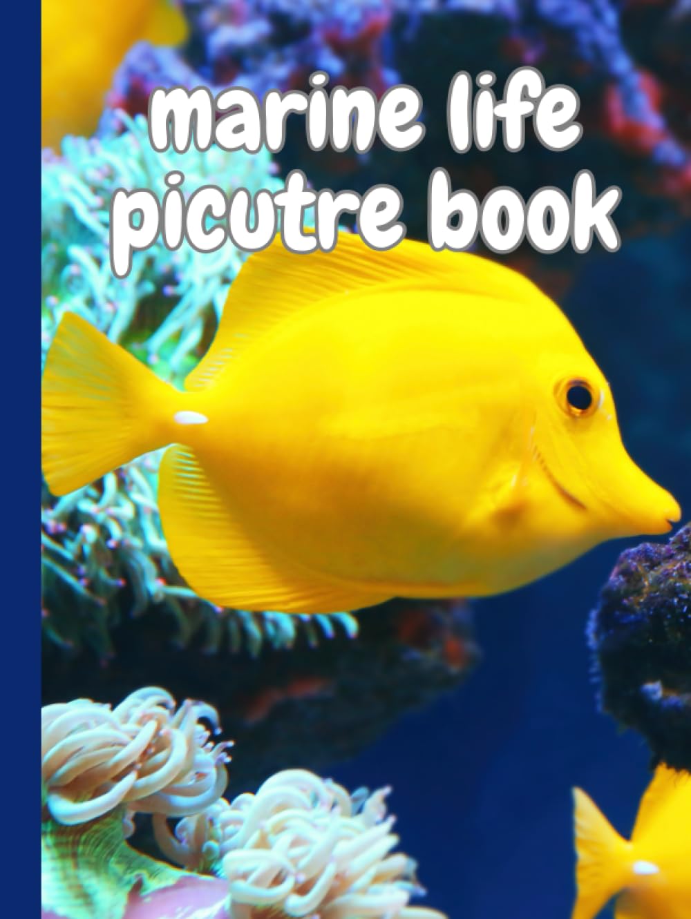 Marine Life Picture Book : N., Angkana: Amazon.co.uk: Books