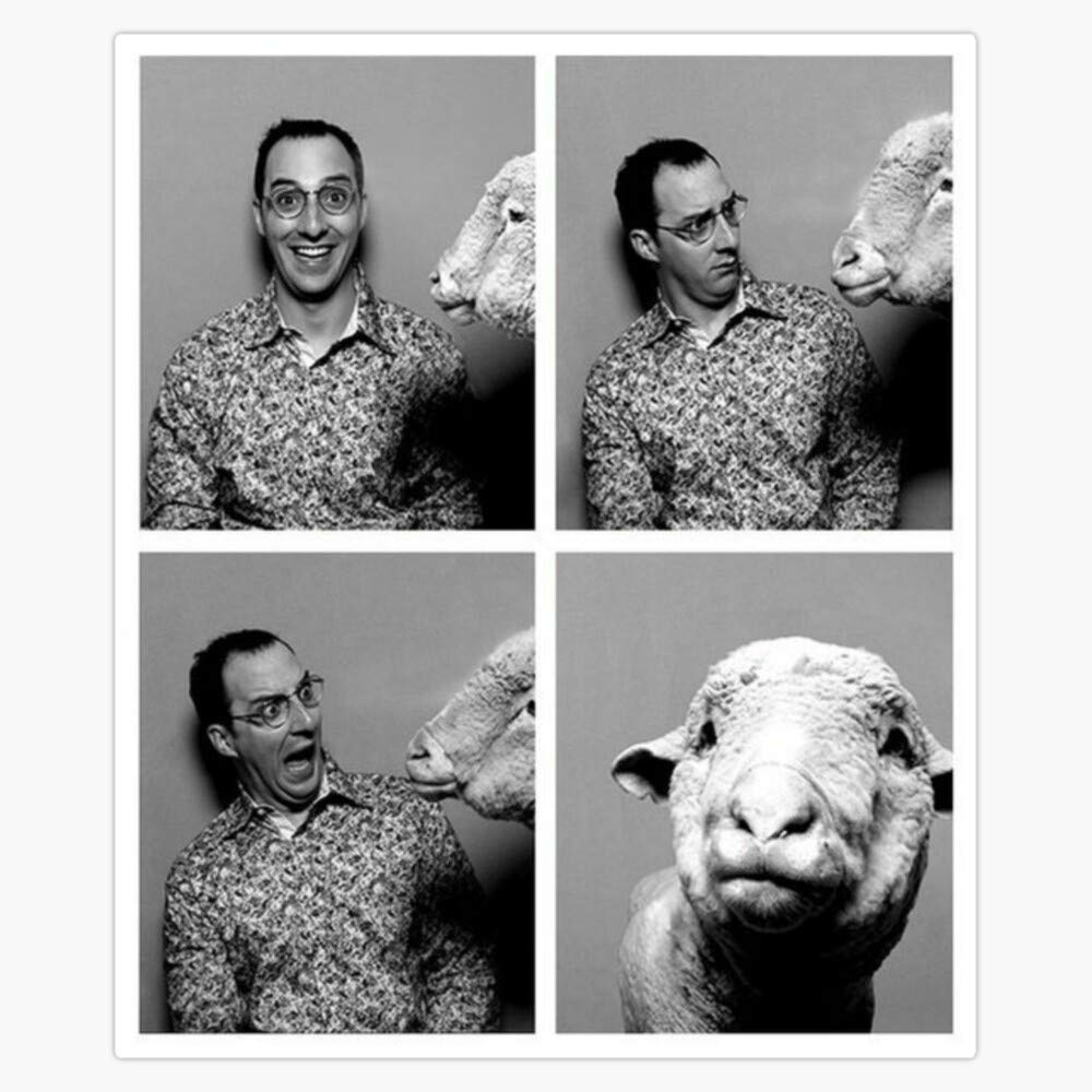 Amazon.com - Arrested Development Buster Bluth Sticker Vinyl Bumper ...