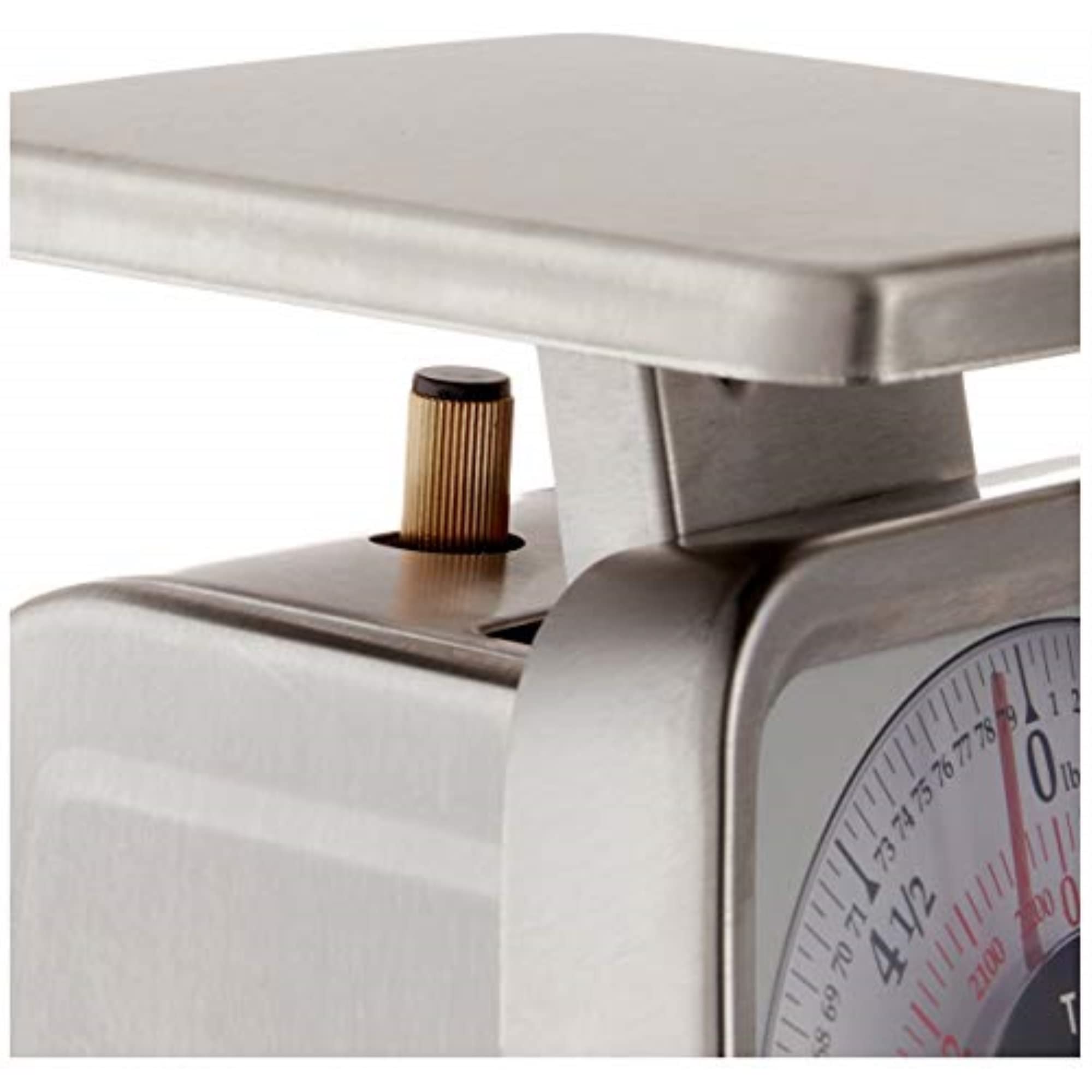 Dial Scale Taylor TS32F Mechanical - 900g/32 Oz Capacity, Stainless ...