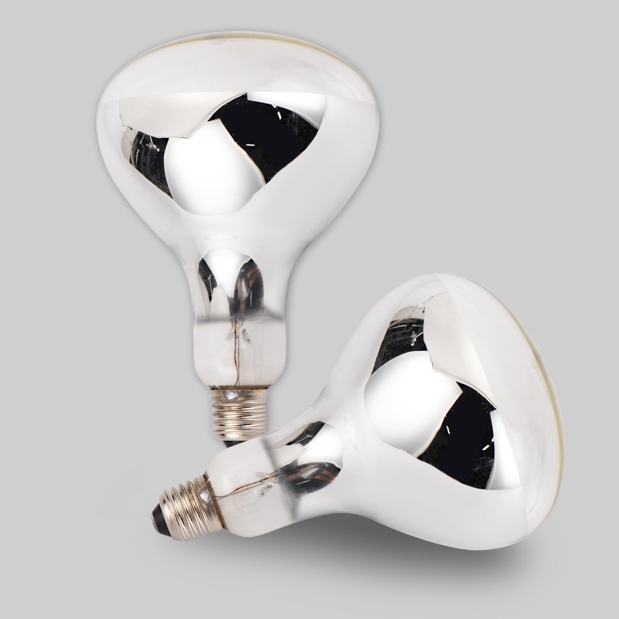 Industrial Performance 250R40/1, 250 Watt, 120 Volt, R40 Glass Size ...