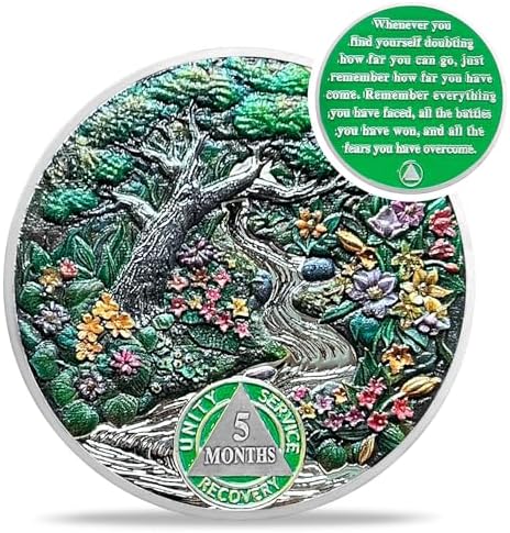 Amazon.com : 11 Month Sobriety Coin - Recovery Seasonal Landscapes AA ...