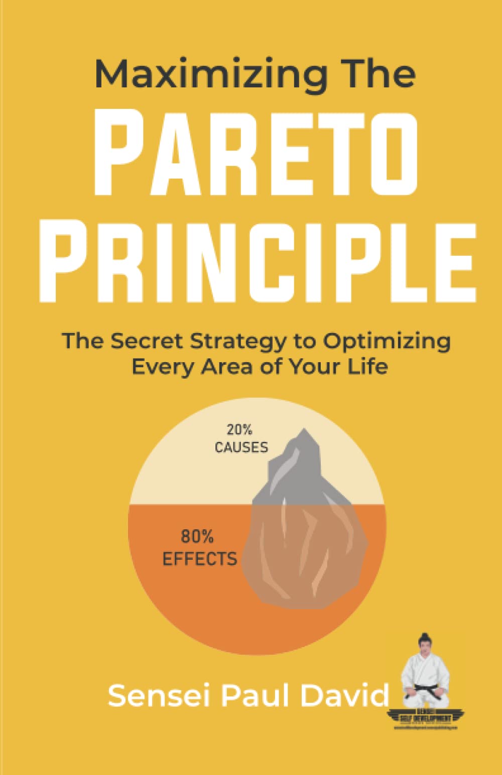 Maximizing The Pareto Principle: The Secret Strategy to Optimizing ...