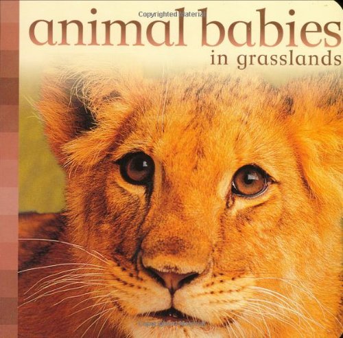 Animal Babies in Grasslands [Board book] [2006] (Author) Editors of ...