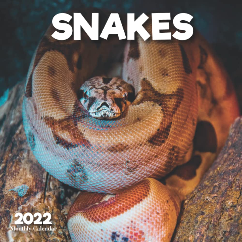 Buy Snakes Monthly 2022: A Monthly and Weekly 2022 - 12 months - With ...