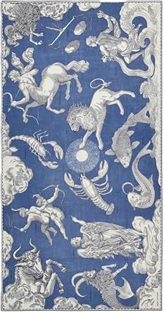 Amazon | INOUI EDITIONS イヌイエディションズ プリントスカーフ ストール ウール コットン インド ...