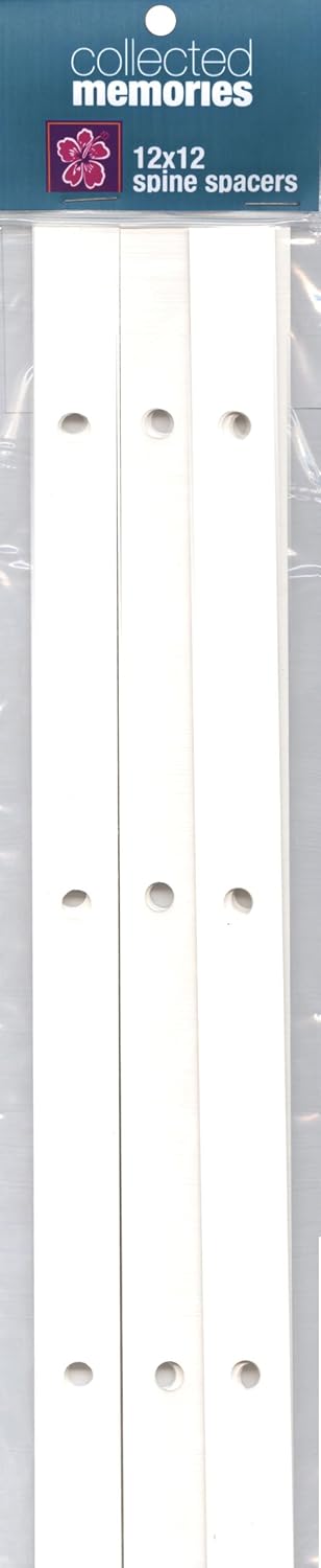 Amazon.com: Collected Memories 12-Inch by 12-Inch Post-Bound Spine ...