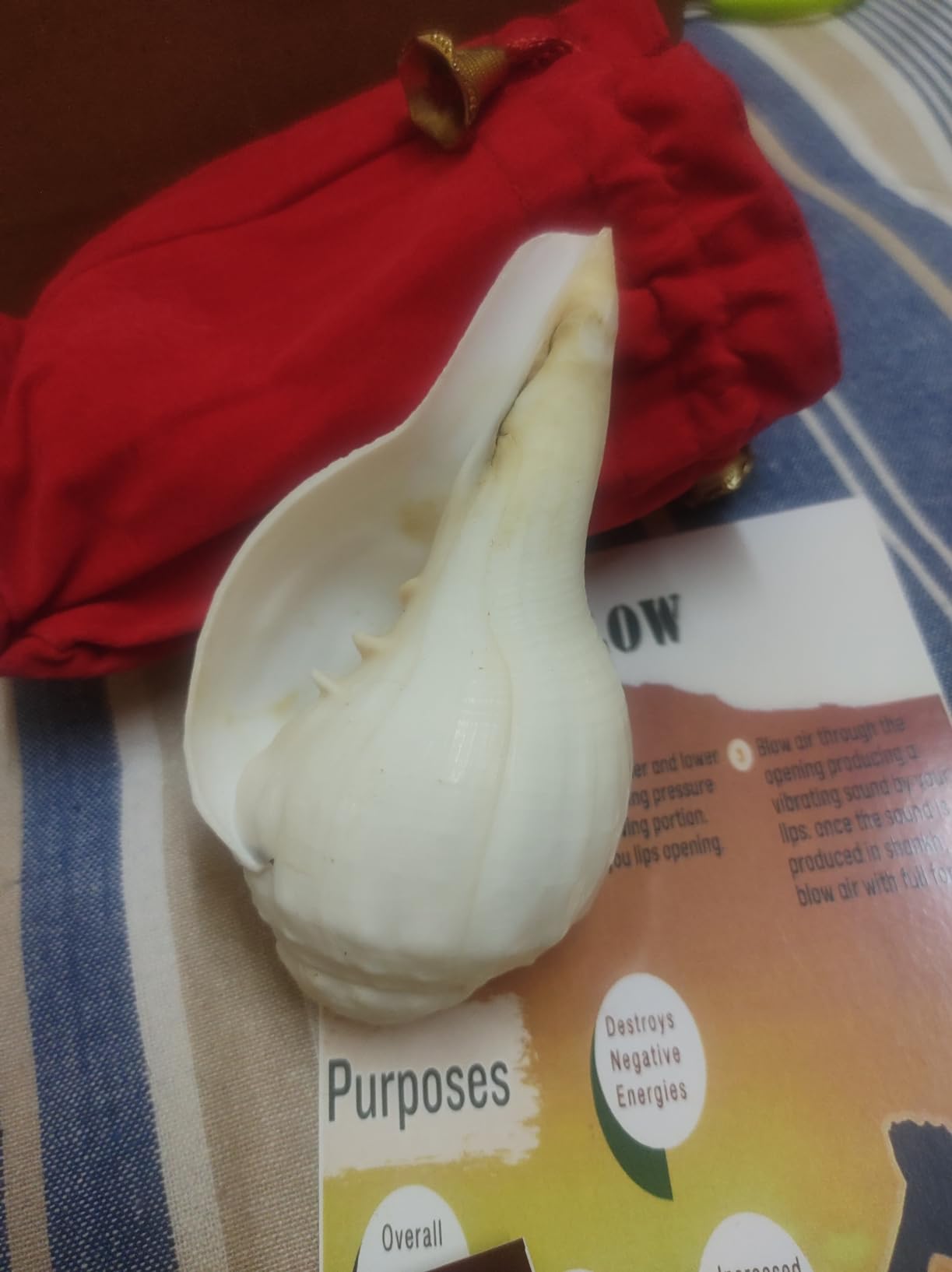 Sanatan Natural Shankh for Blowing | Genuine Vamavarti Conch Shell for ...