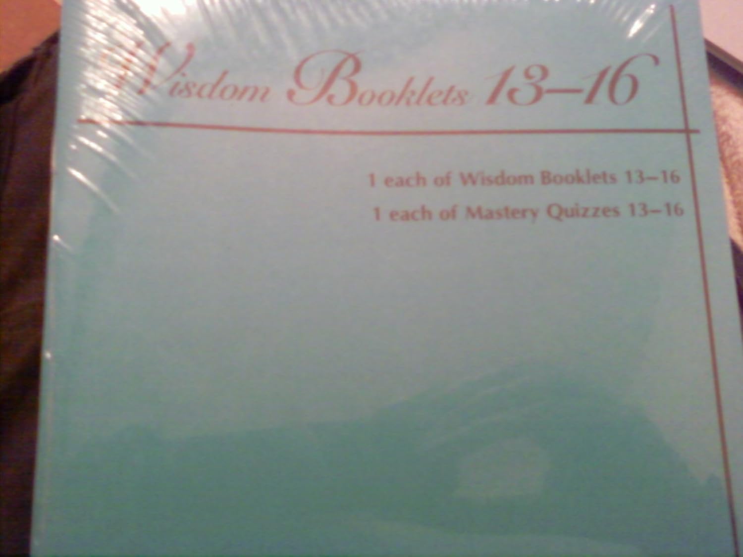 Parent Guides 13-16: Wisdom Booklets: Advanced Training Institute ...