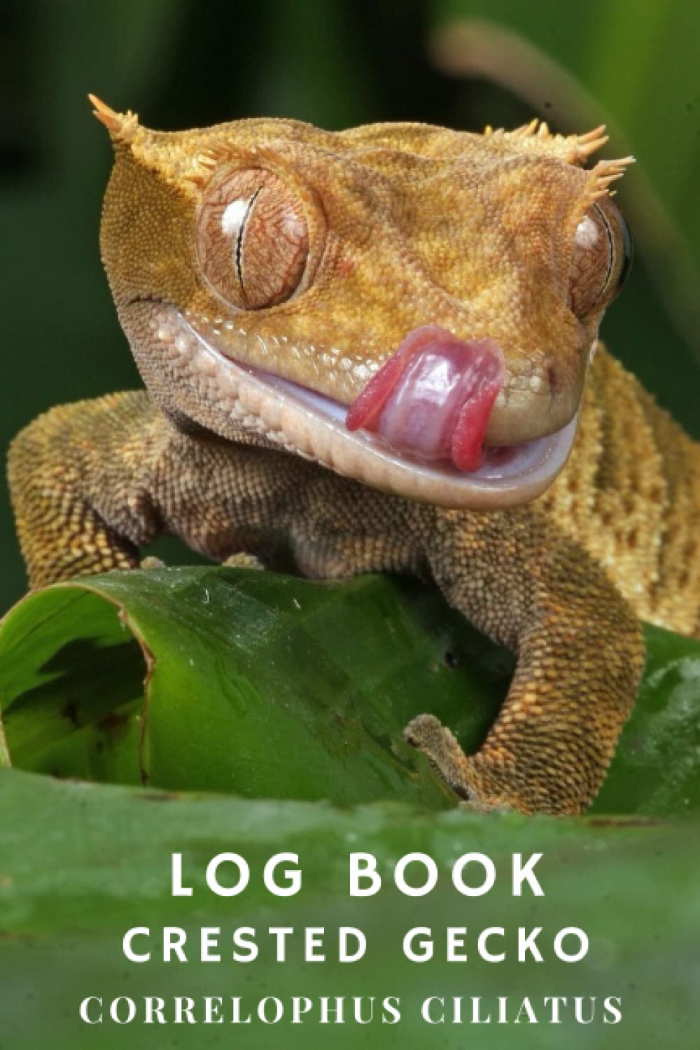 Log Book - Crested Gecko (CORRELOPHUS ciliatus): Amazon.co.uk: Paradize ...