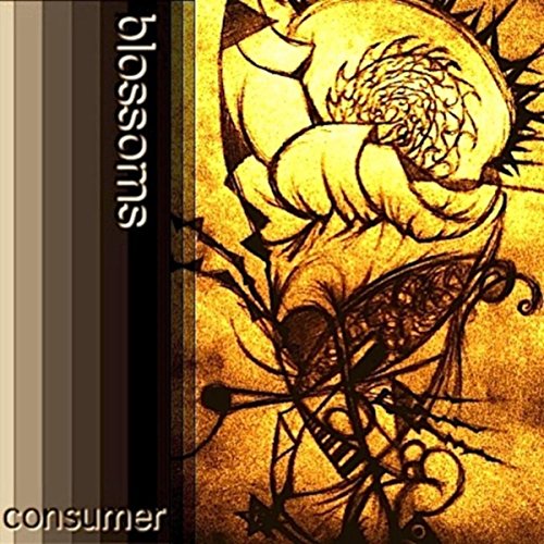Amazon.com: Blossoms : Consumer: Digital Music