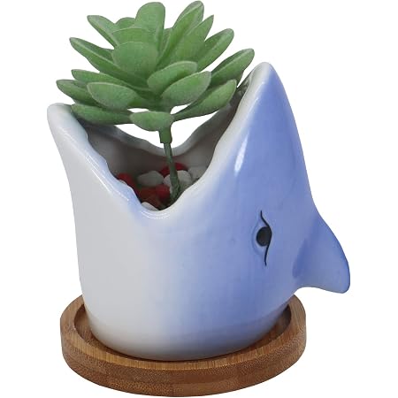 Amazon.com : Streamline Imagined Ceramic Shark Flower Planter Pot ...