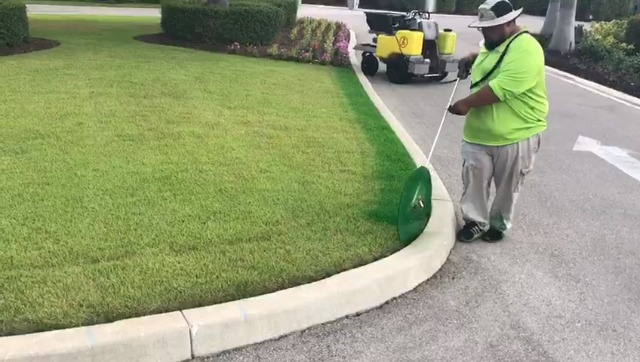 Watch Endurant Turf Colorant on Amazon Live