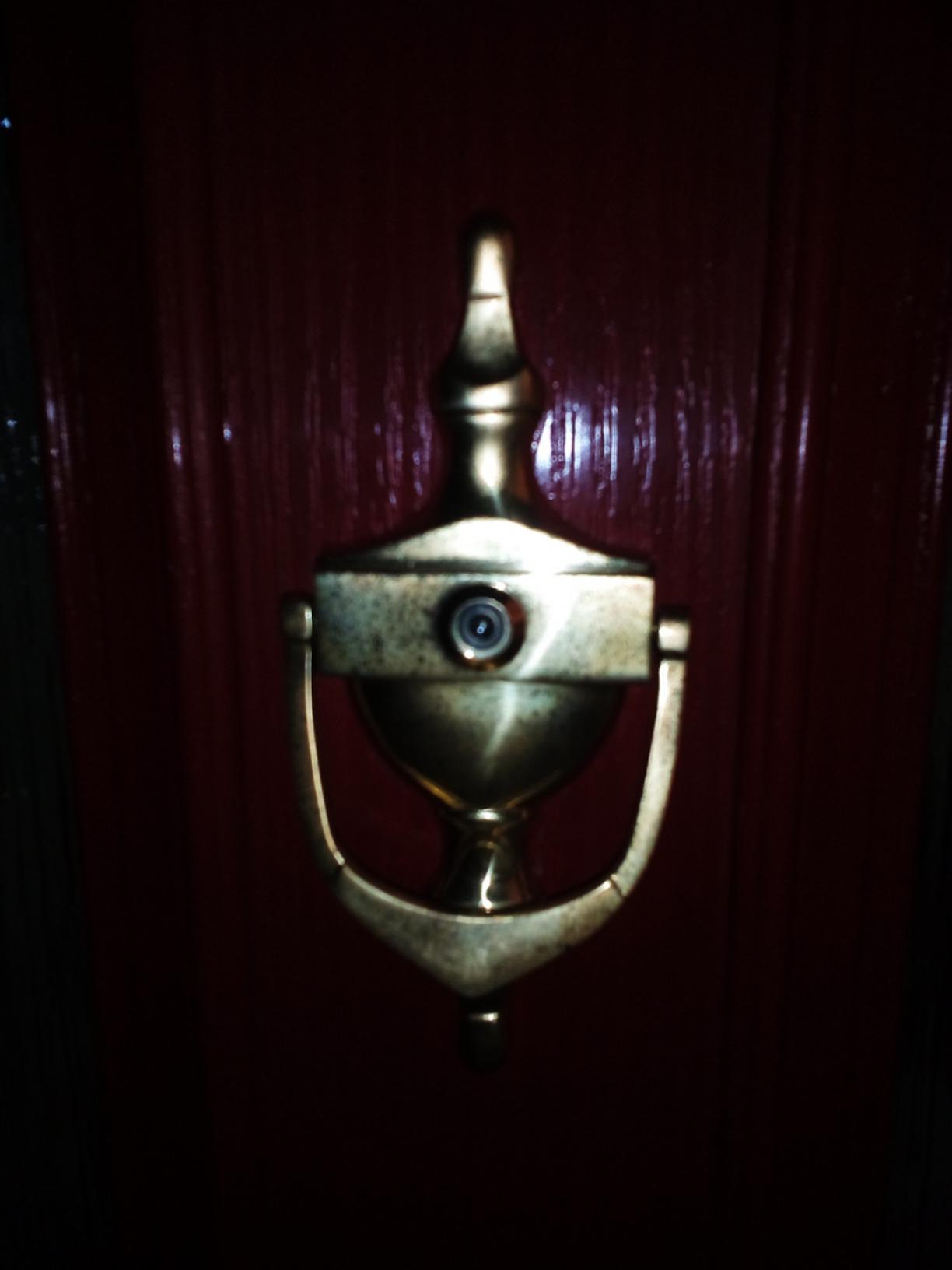 Victorian Urn Style Door Knocker - 15.2 cm-, gold : Amazon.co.uk: DIY ...