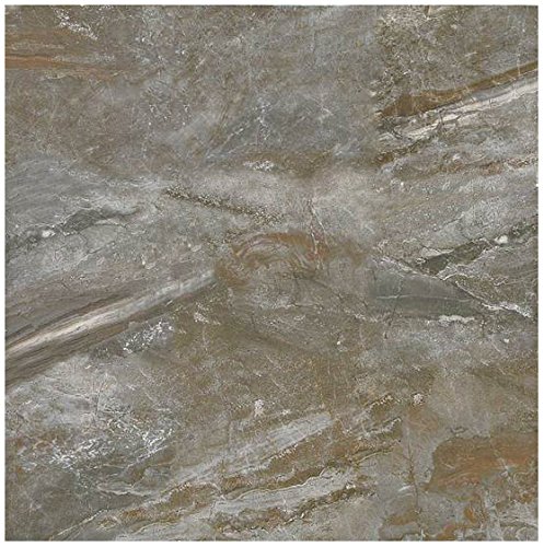 American Olean Tile DY04SC36C9T Danya Basin Tile, 1" x 6" : Amazon.in ...