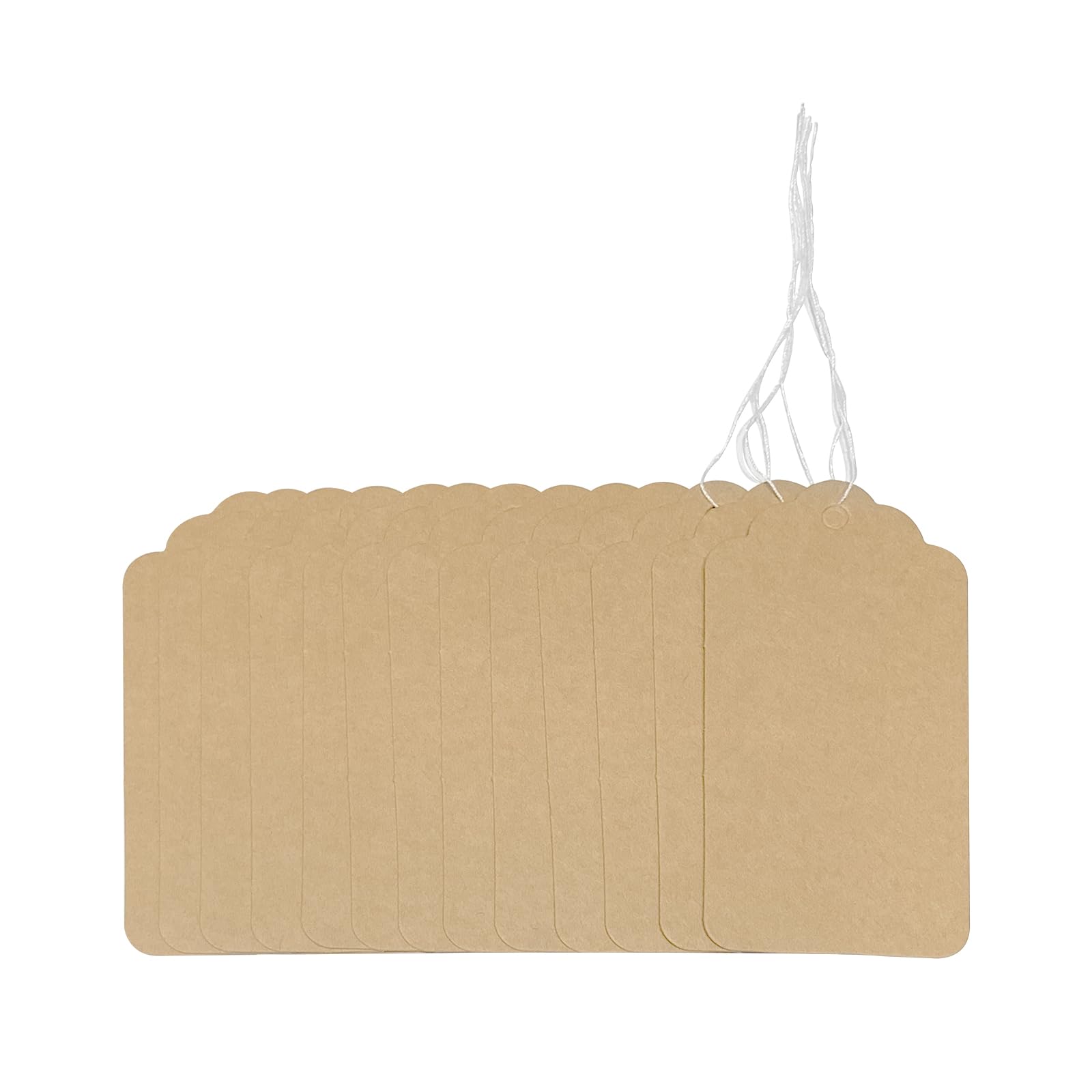 Amazon.com : ZUFECY Kraft Paper Blank Tags, 100Pcs Writable Tags with ...