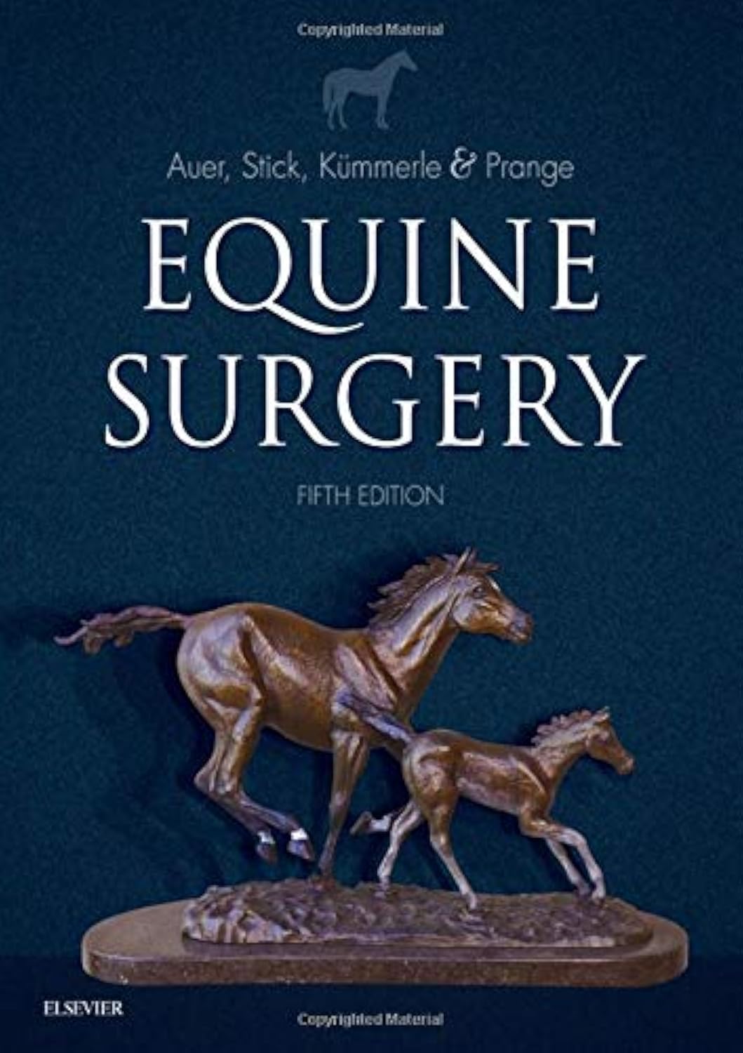 Amazon | Equine Surgery | Auer Dr Med Vet MS, Jorg A., Stick DVM ...