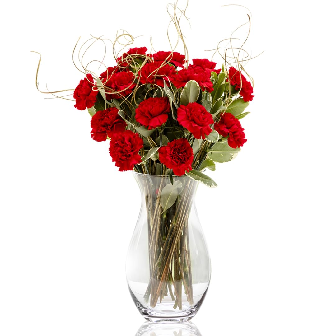 Sendabunch Luxury Red Carnation Bouquet with Free Box of Belgian ...