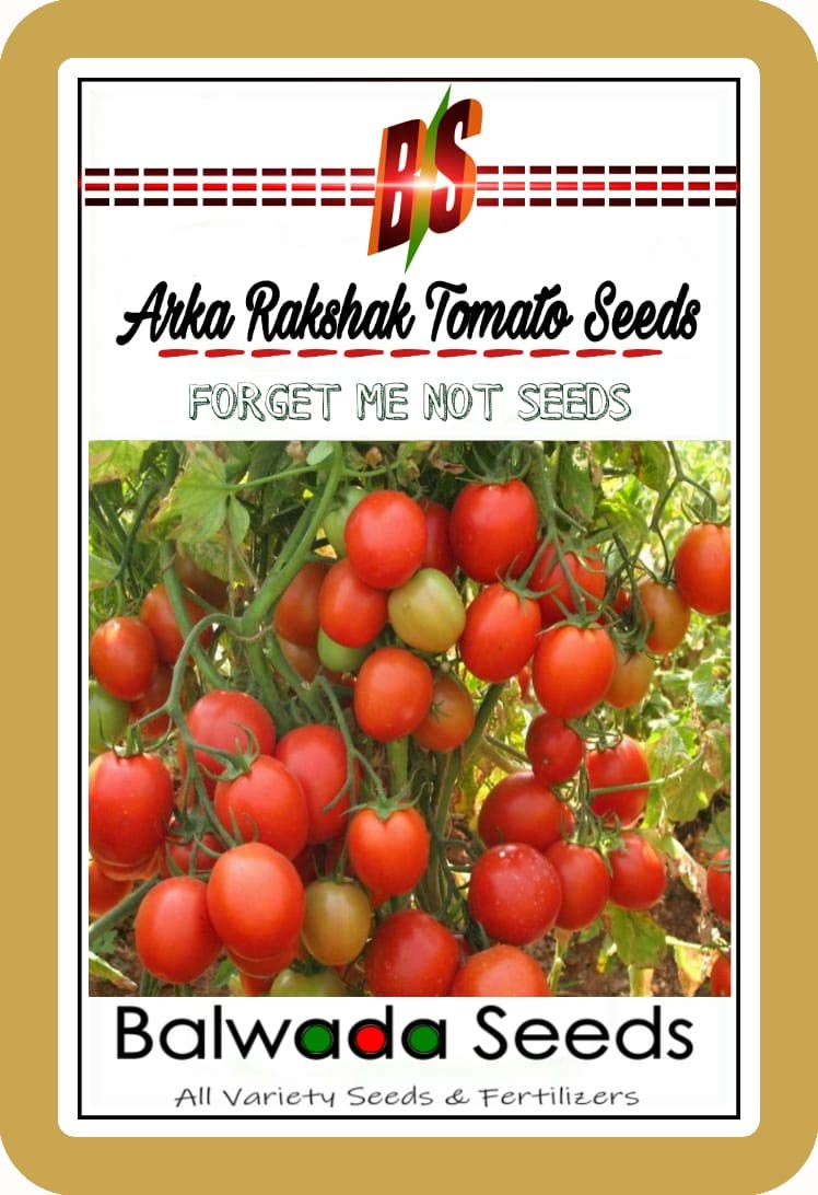 Tomato arka rakshak F1 hybrid vegetable 100+ seed packet : Amazon.in ...