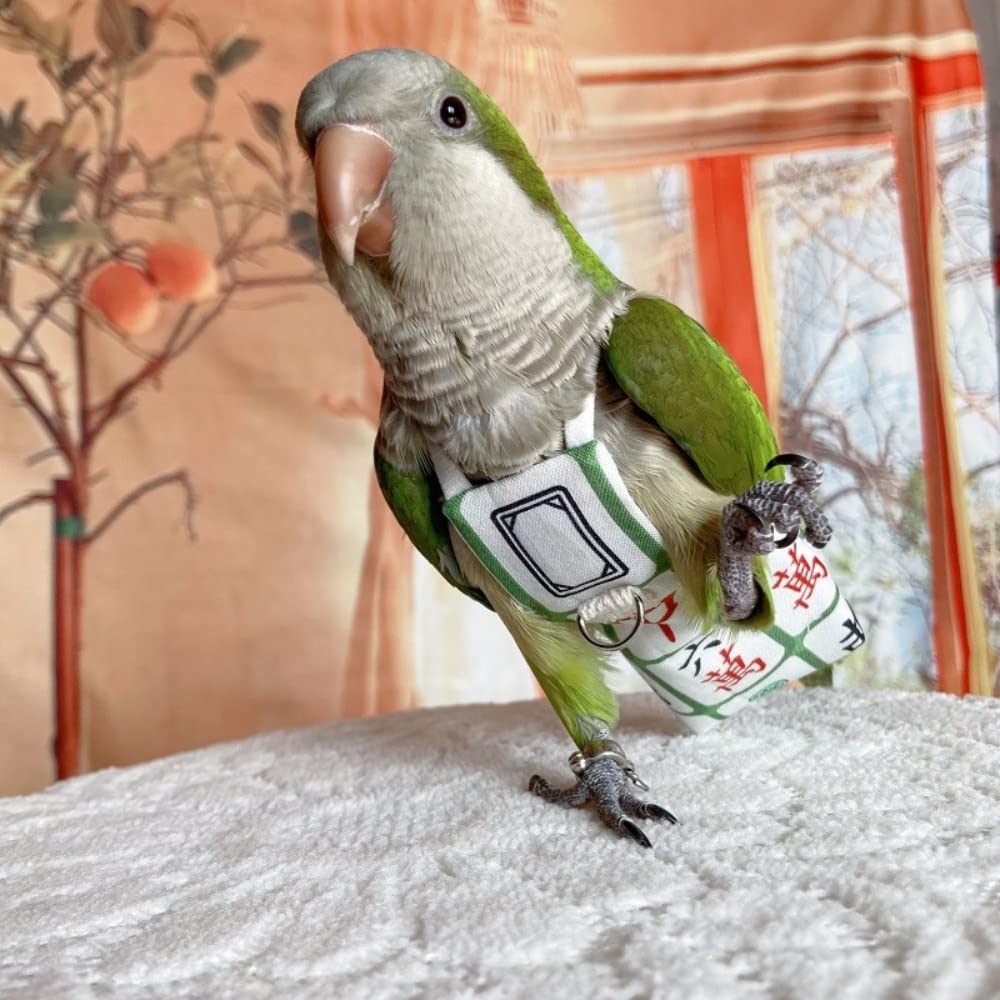 Flight Suits For Parakeets