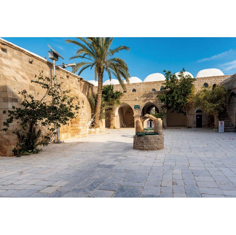 Csfoto 12x8ft Nabi Musa Site And Mosque Backdrop Judean Desert ...