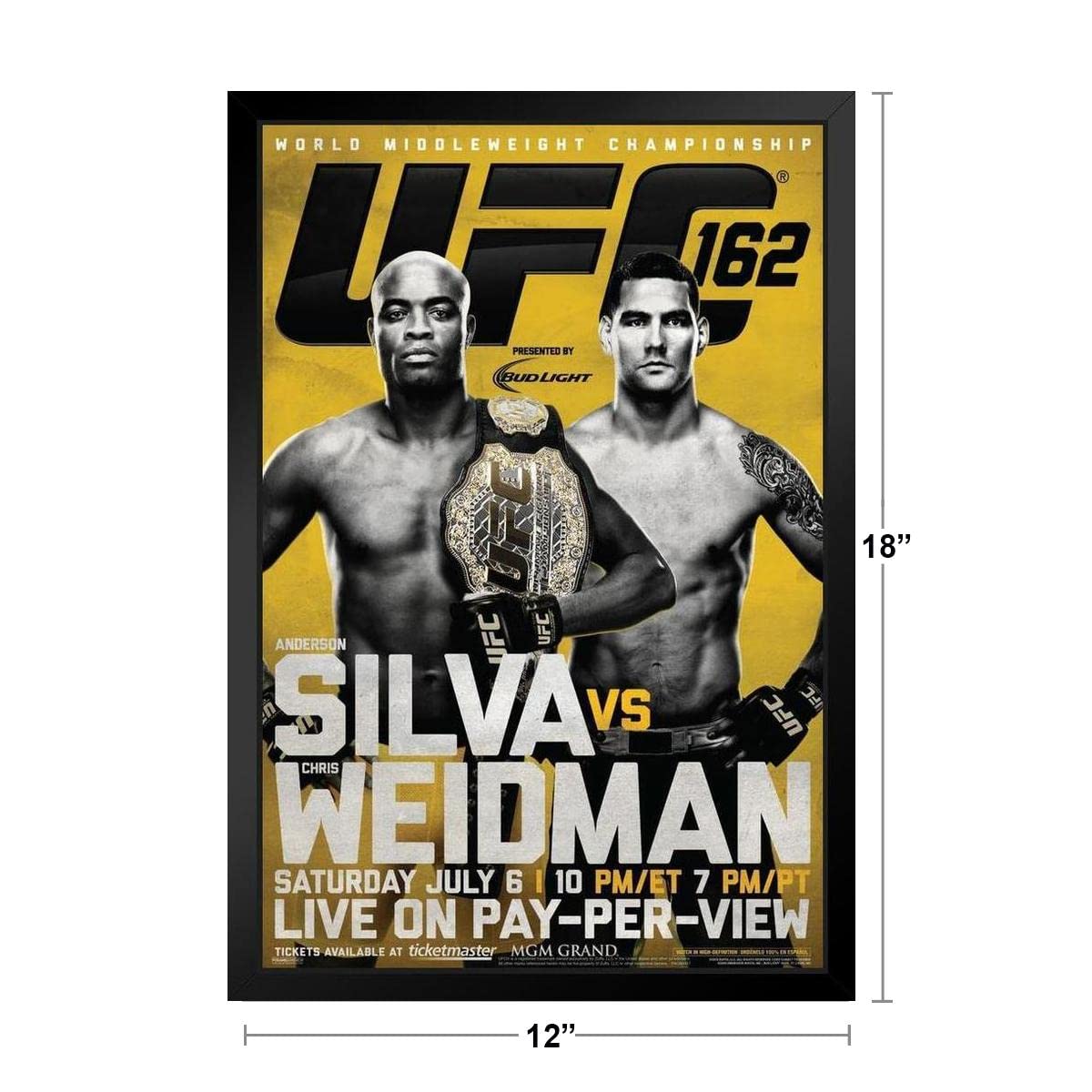 Anderson Silva Vs Chris Weidman Poster