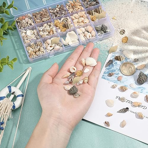 PH PandaHall Sea Shells, 466pcs 15 Style Spiral Shell Beads Undrilled ...