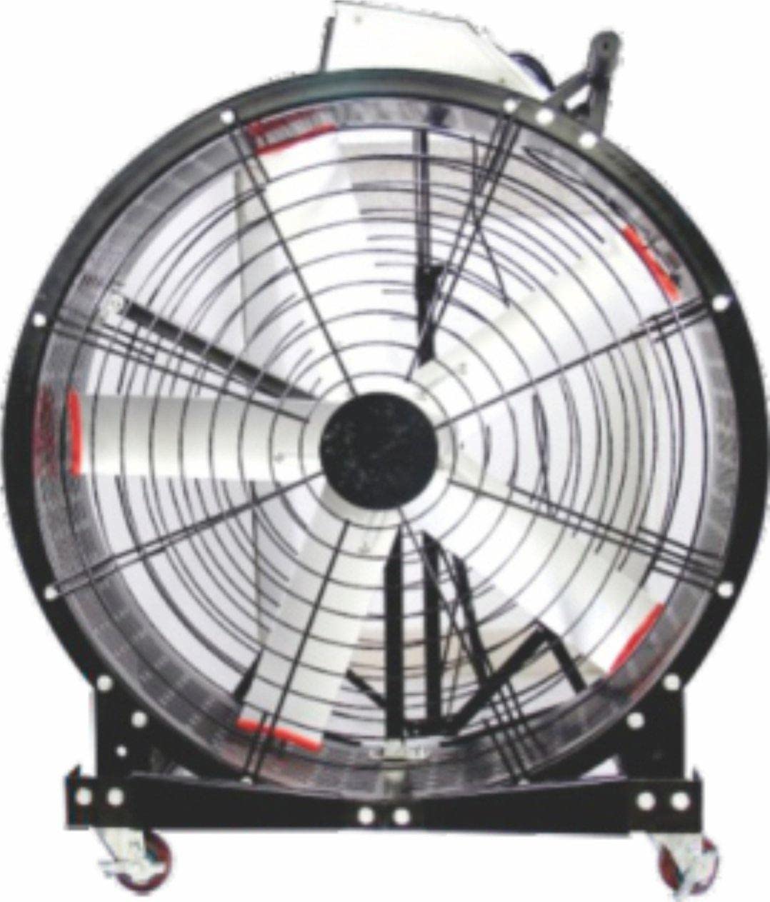 Buy Fitline Strength Superwind Fan 1.5 Meter Online at Low Prices in ...