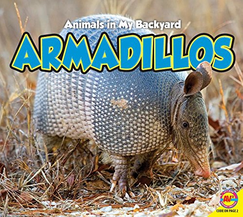 Amazon | Armadillos (Animals in My Backyard) | Carr, Aaron | Mice, Hamsters, Guinea Pigs & Squirrels
